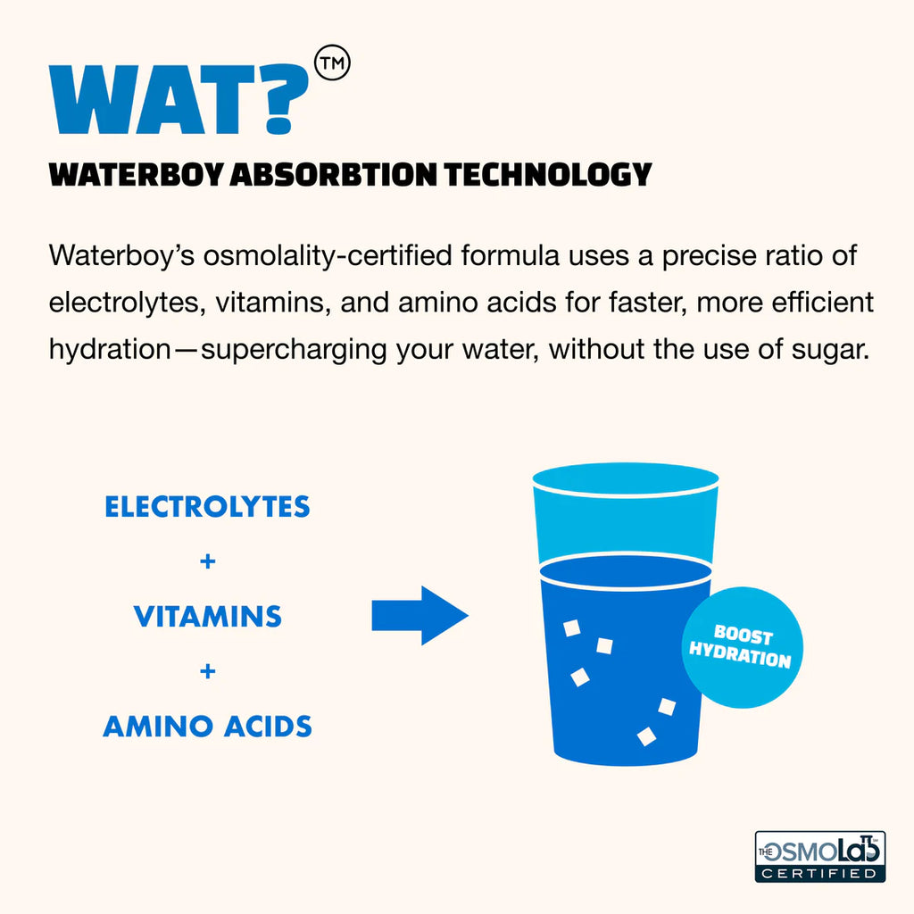 Waterboy Hydration - Workout Recovery | Coco Market